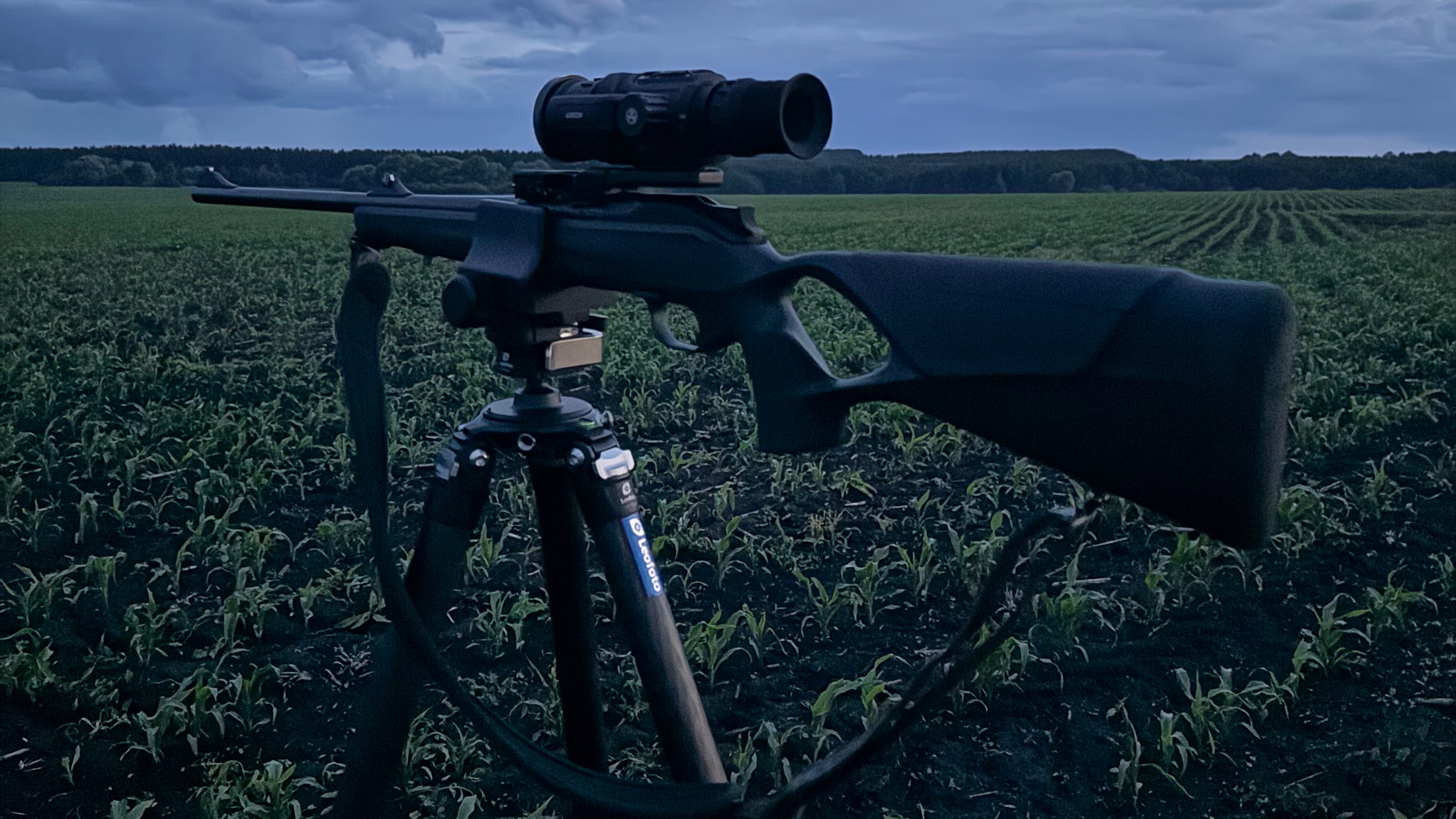 Охраняли пшеницу. Нарушитель оштрафован