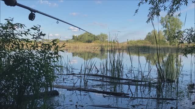 рыбалка в середине июня! озеро зарастает но рыба есть!