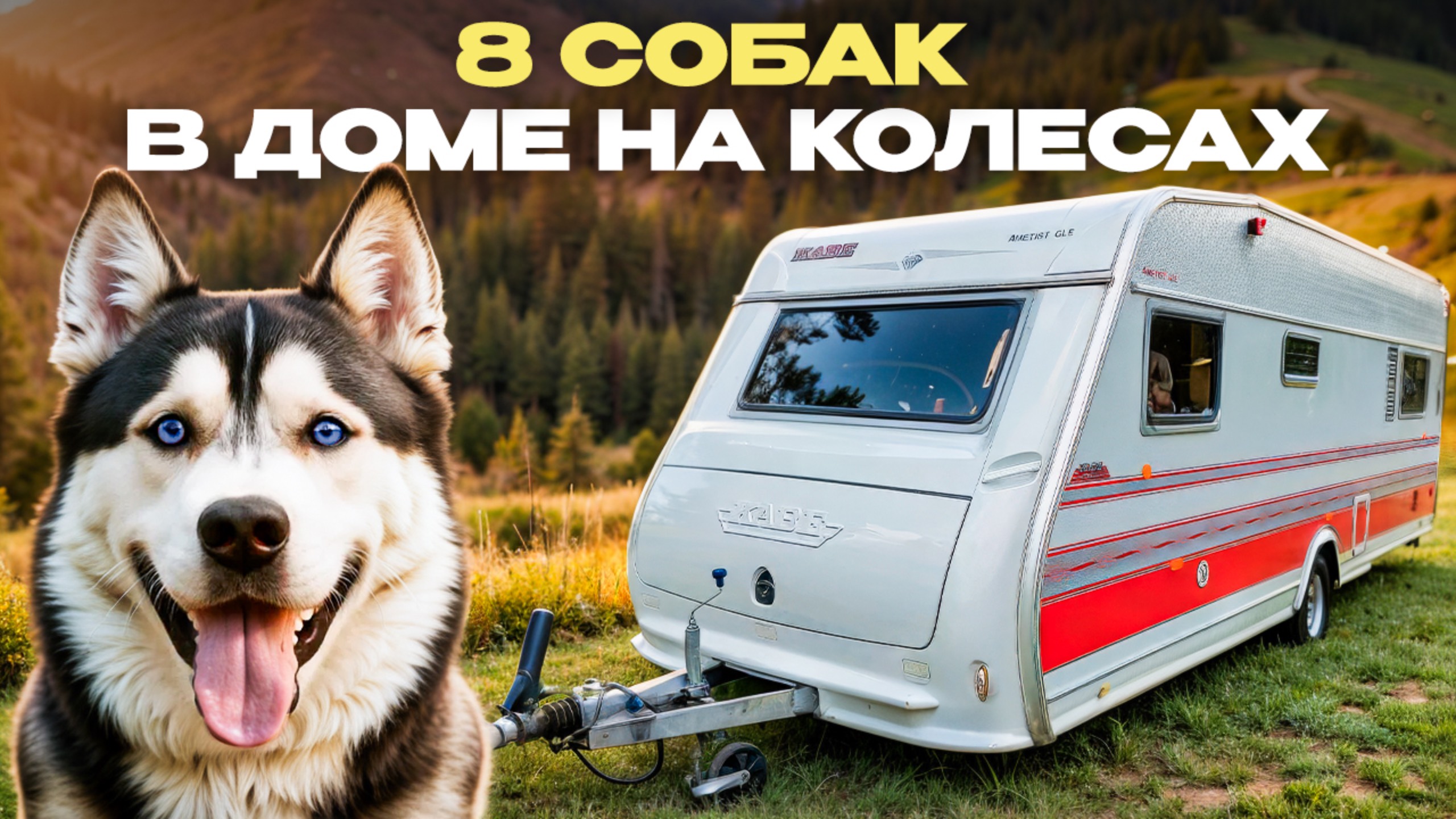 3 года путешествий с прицепом. 8 собак. И всё устраивает!