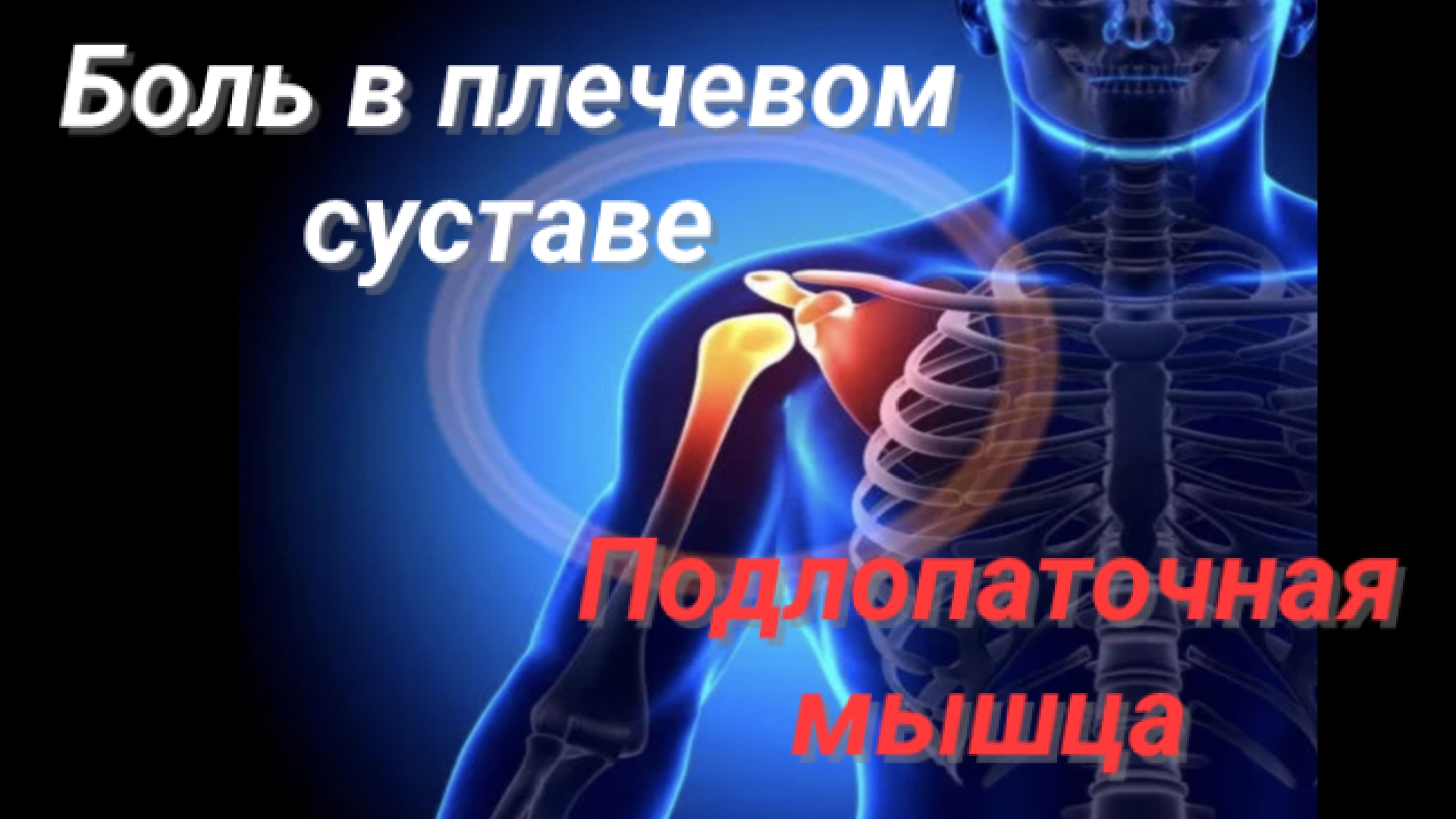 Подлопаточная мышца