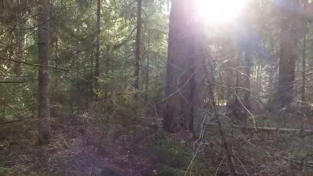 Эх , опяточки!