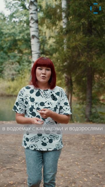 Ваша собака любит купаться?