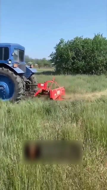 Трактор МТЗ 50 косит траву