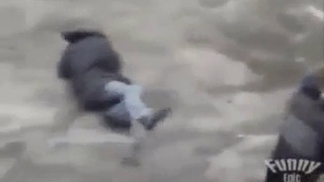 Живой дракон