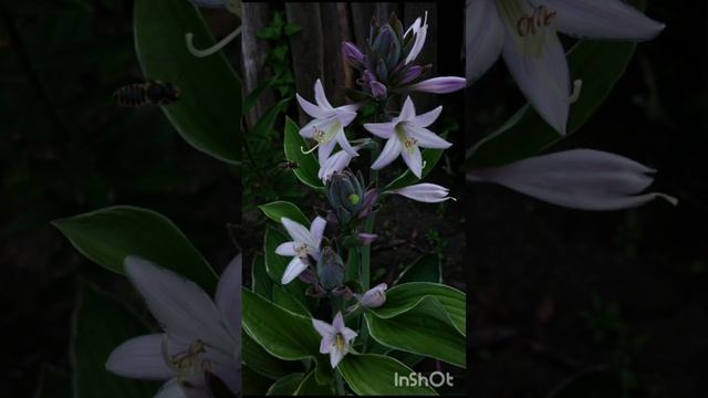 Друзьям для настроения