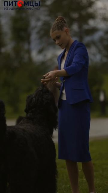 Атмосфера выставки