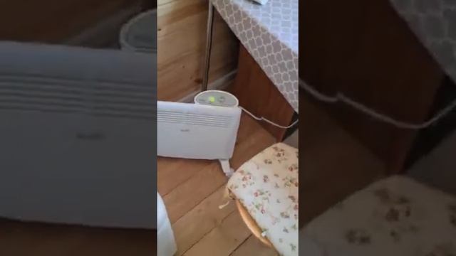 Видео отзыв присланный клиентом о реализации проекта двухмодульного дома с баней и террасой