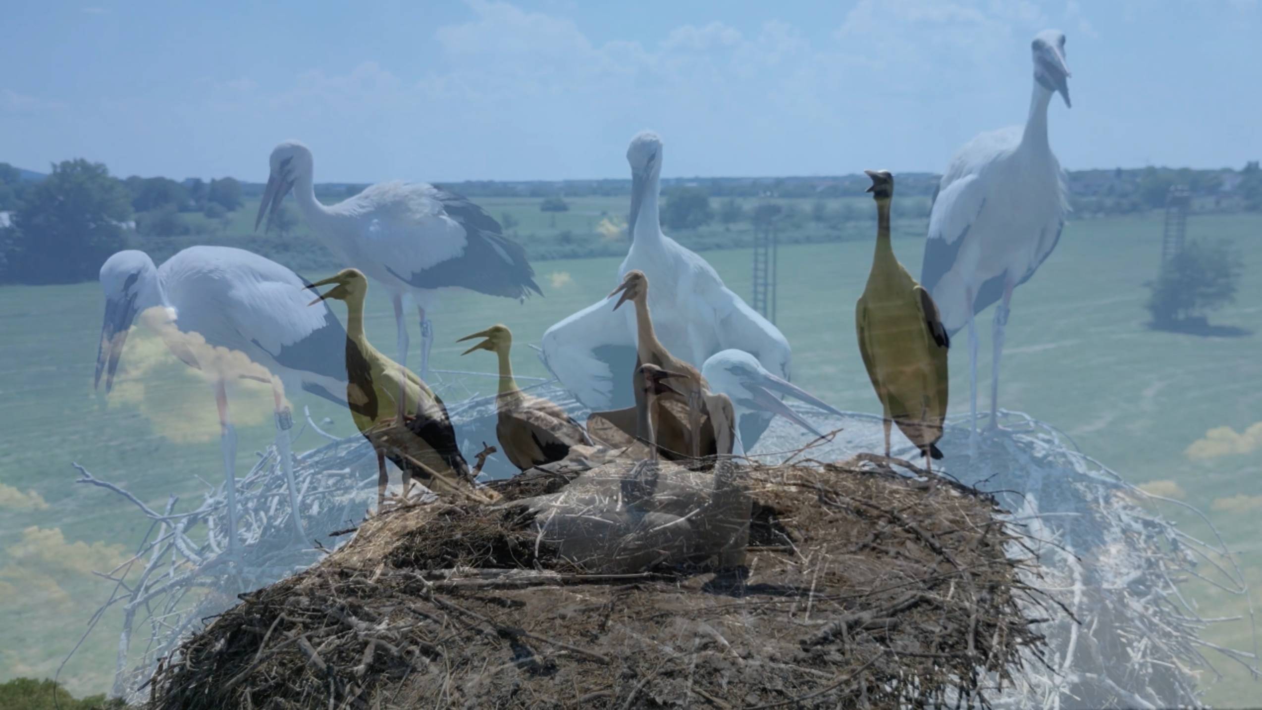 38.5 по Цельсию