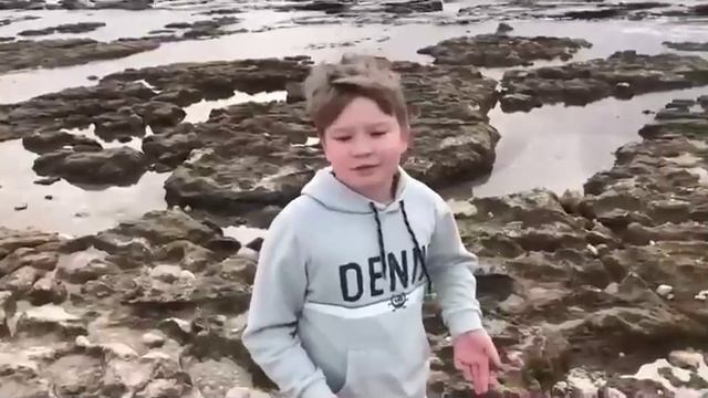 Я здесь живу. Прогулки по Израилю