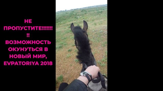 КРАСОТУ ОТЛИЧАЕТ НЕПОДЧИНЕНИЕ ОБЩИМ ПРАВИЛАМ.
НЕ РАВНЯТЬСЯ НА ТУПЫЕ ОБЫЧАИ.