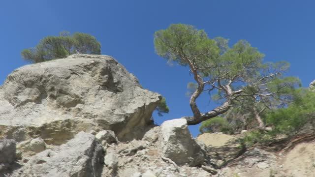 Задумчивые горы Крыма.