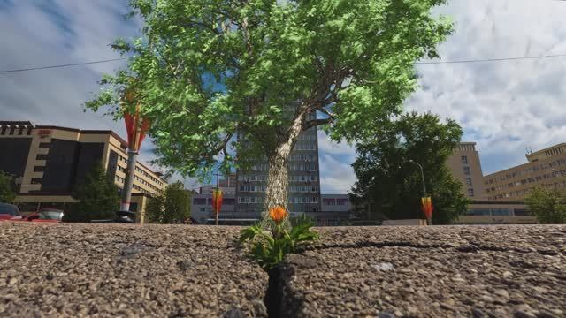 CLIP- НАМ 10 ЛЕТ (СМЕНИ КВАРТИРУ РУ)