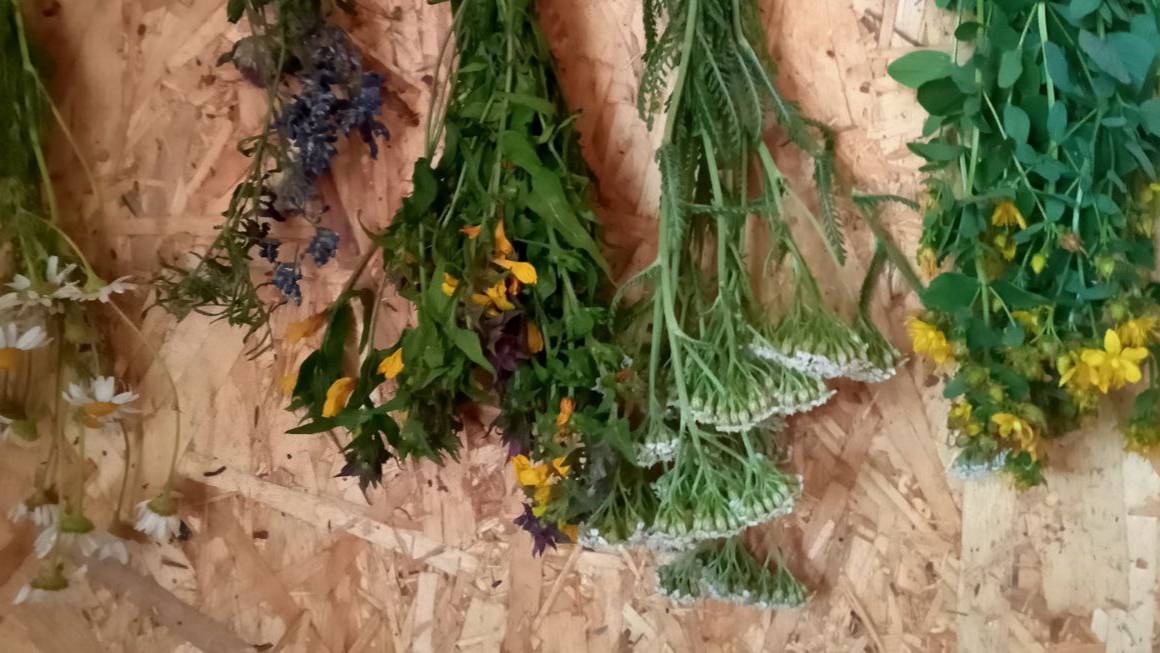 Мастер - класс " Травяная Ладанка "