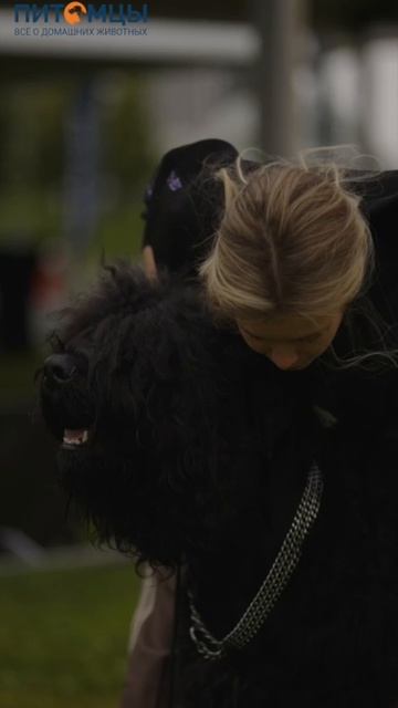 Фестиваль «Летнее дерби по-черному»