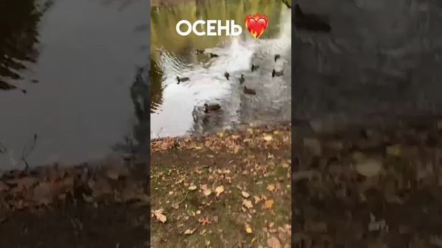 Аделина Смоленцева 4Д. Осенний БИТ