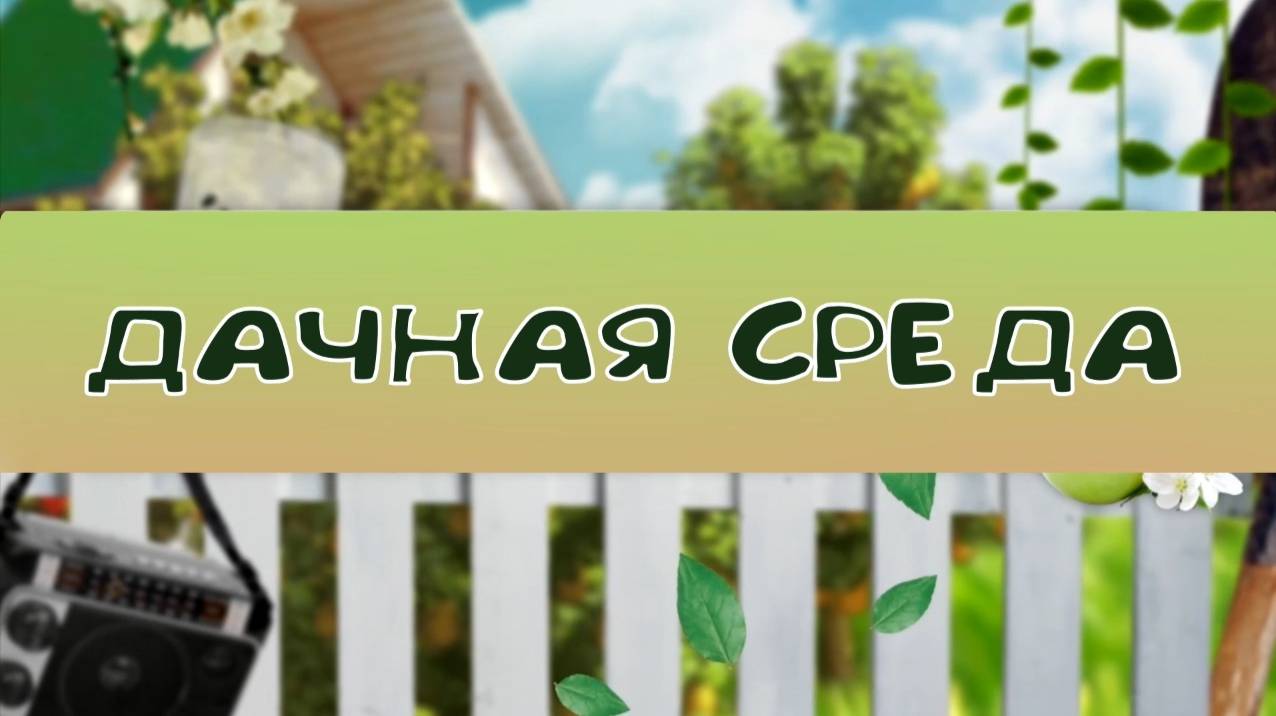 Дачная среда: главные процедуры для цветущих и благоухающих клумб и розариев