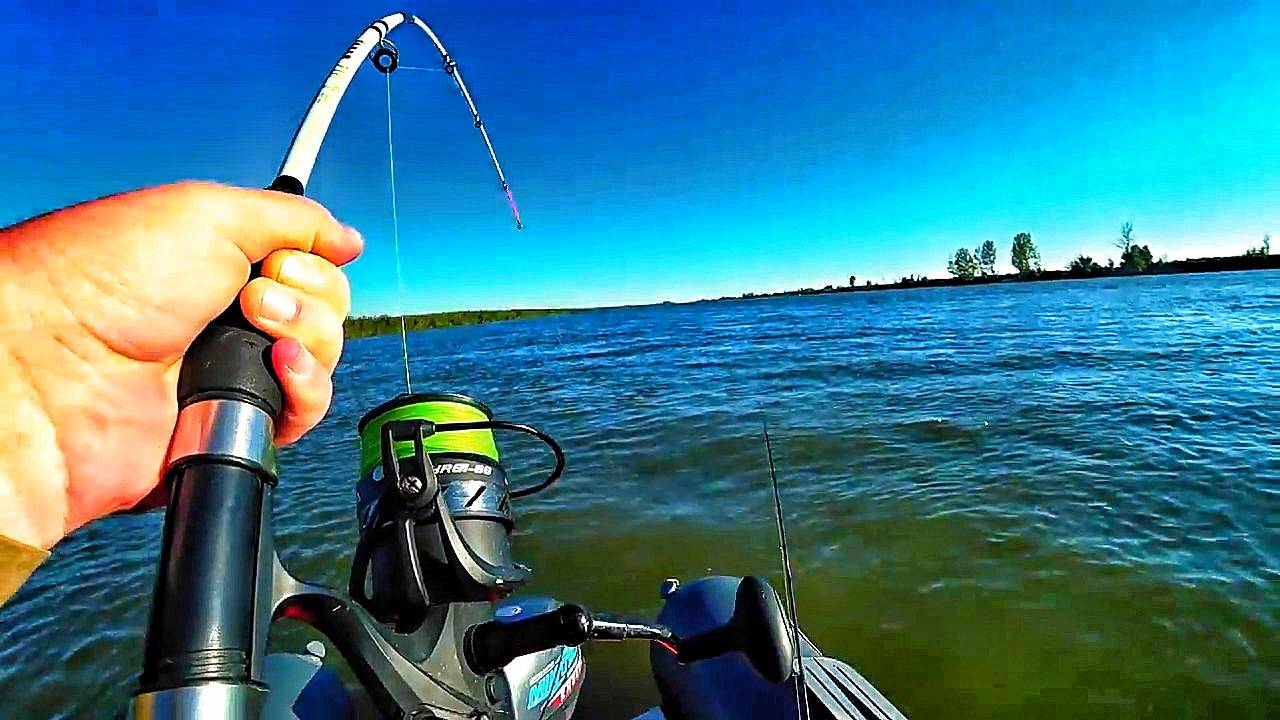 РУКИ УСТАЛИ, УДОЧКА В ДУГУ!!! ЭТО ХОЗЯИН РЕКИ!!! Рыбалка на донки.