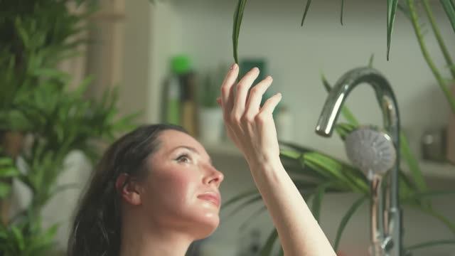 Etherapy - Каштан (30 сек.)