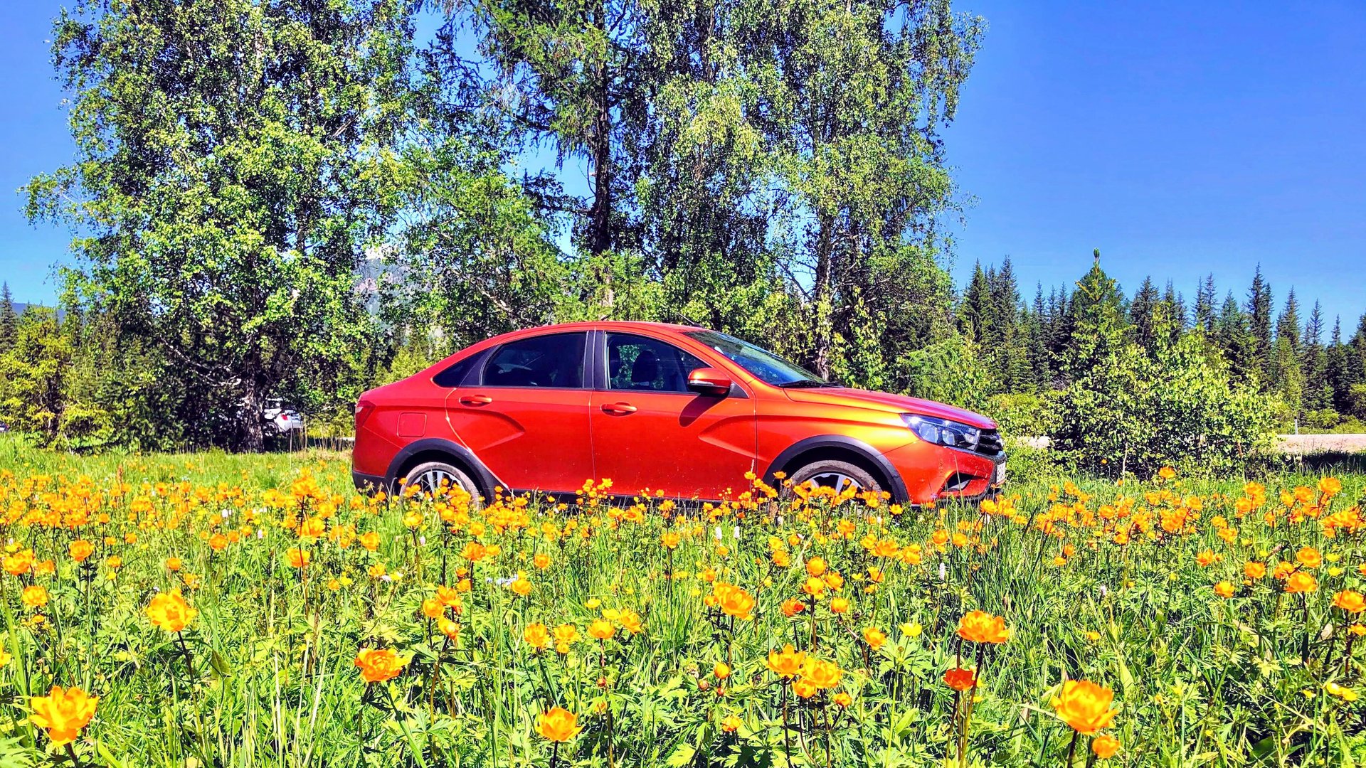 Поездка по Горному Алтаю (июнь) 2020. Подробная дорога на Машине!