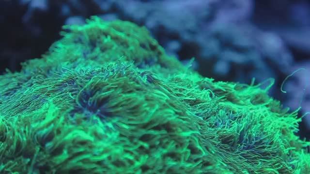 Погружение в Счастье: deep house, который уносит в другой мир 🚀