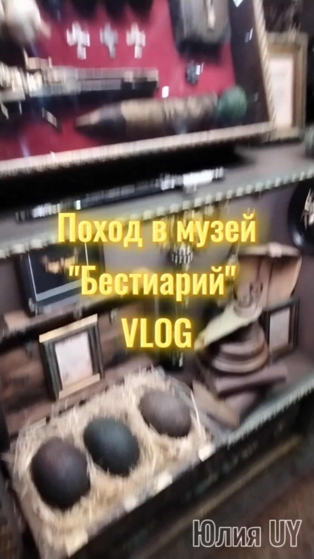 Музей "Бестиарий" | ВЛОГ 🔮#юлияuy #бестиарий #музей #влог #блогер #рек #blogger #vlog #museum