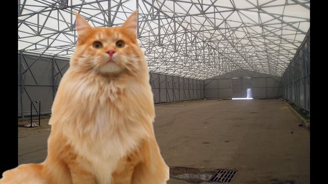 Кибер Ася 8 "Новый враг?"