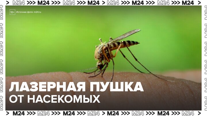 В Гонконге создана лазерная пушка от насекомых - Москва 24