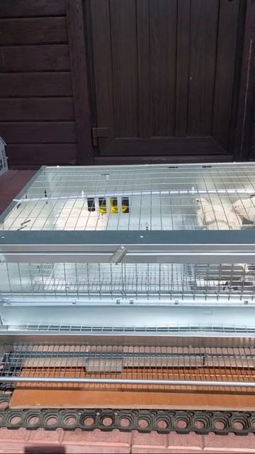 Клетка для 45 перепелов Оптима