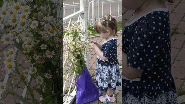 Настя в беседке Прасковьи Суриковой в Торгашино video_20250704_160535