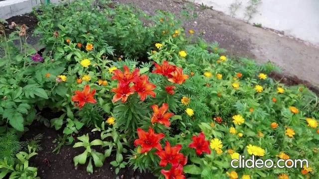 Итоги конкурса Активист 2024 часть 4