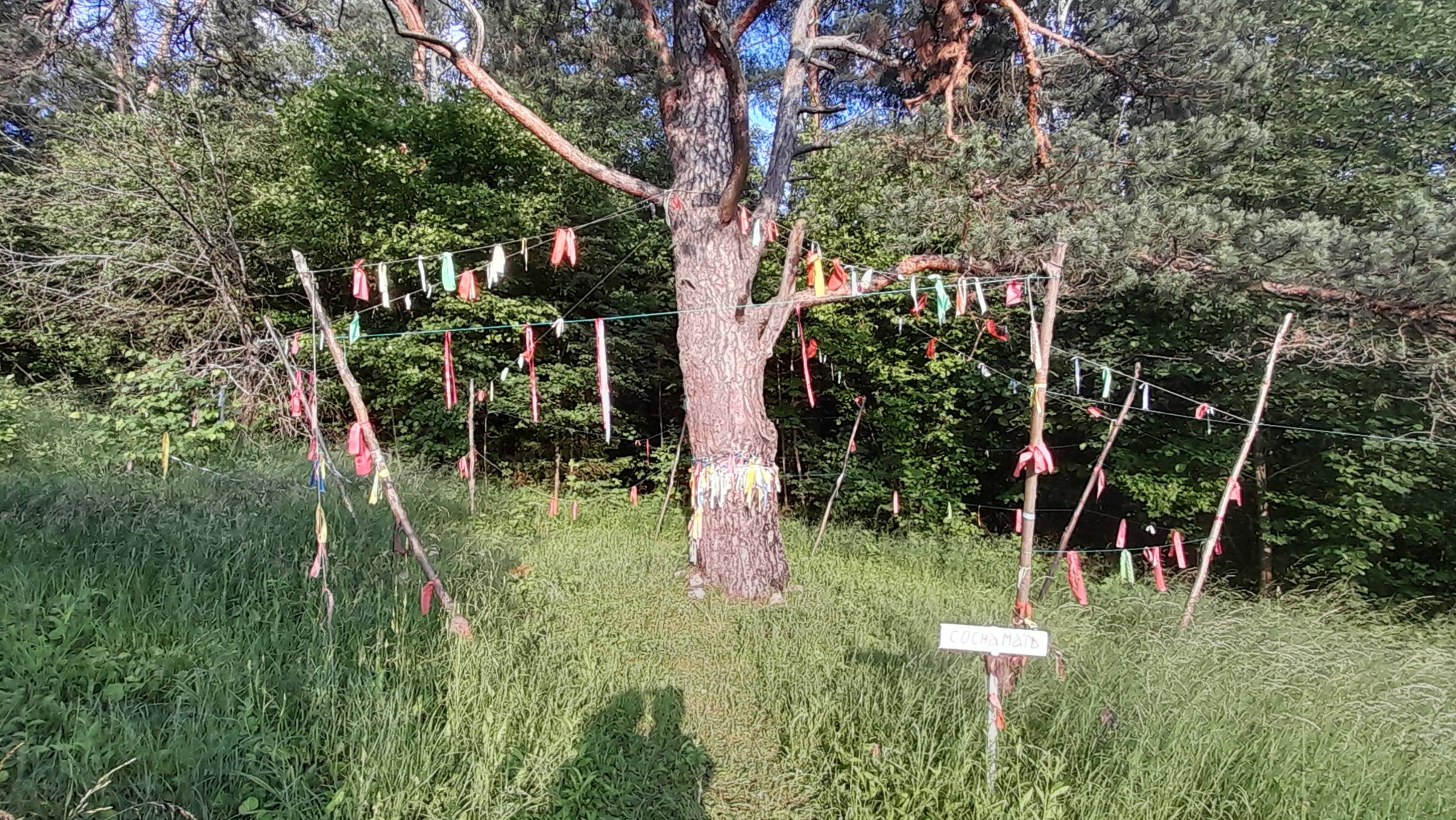 ЯрГора-место силы