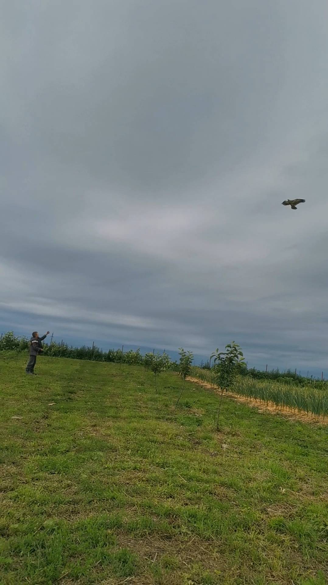 ВОЗДУШНЫЙ ЗМЕЙ