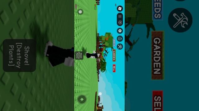 Играем в вырасти сад