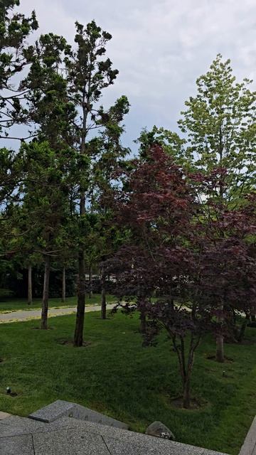 Сад Карэсансуй в Японском Саду