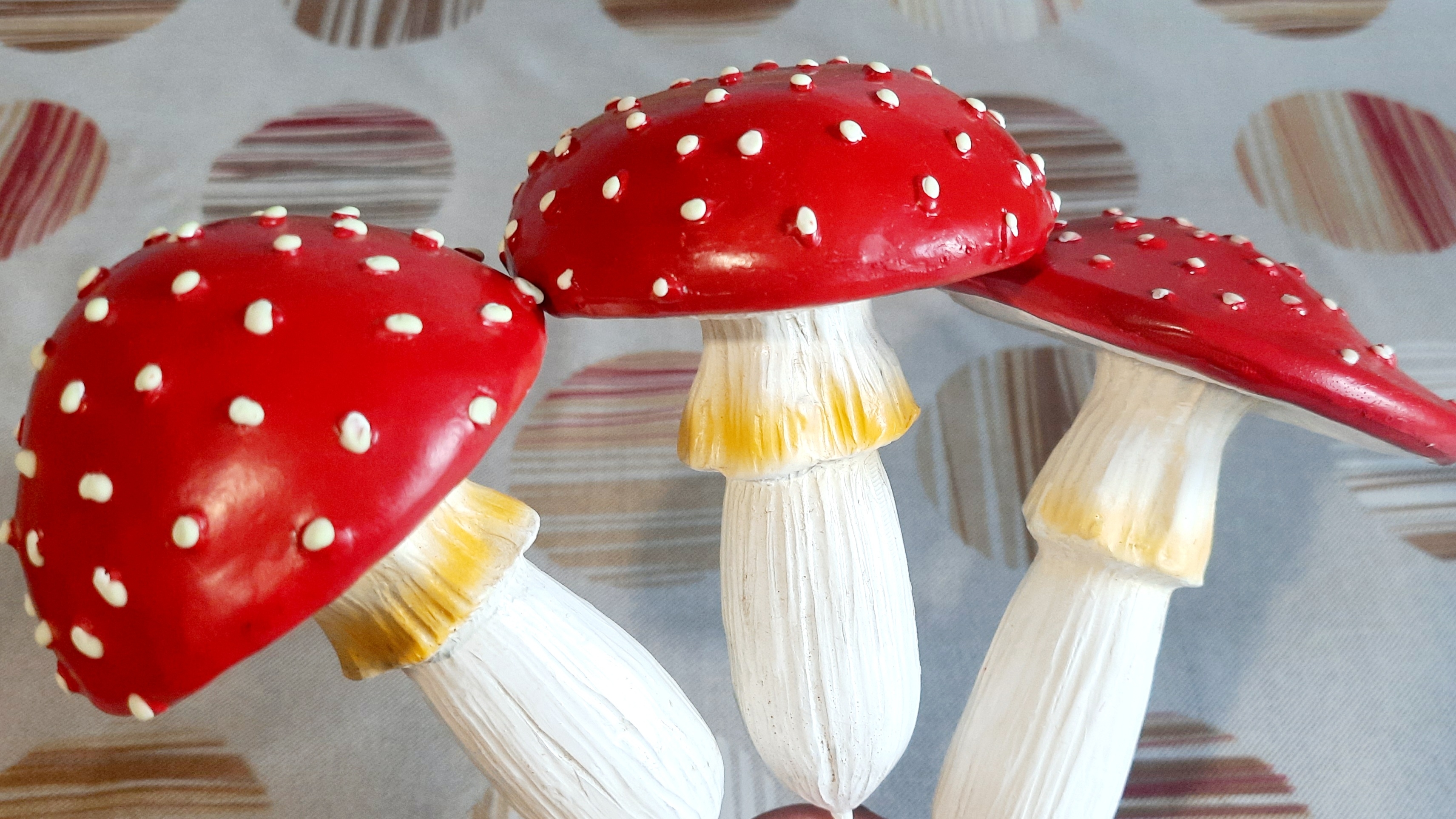 Порадовала себя с последней зарплаты🦉🐸🐢🍄