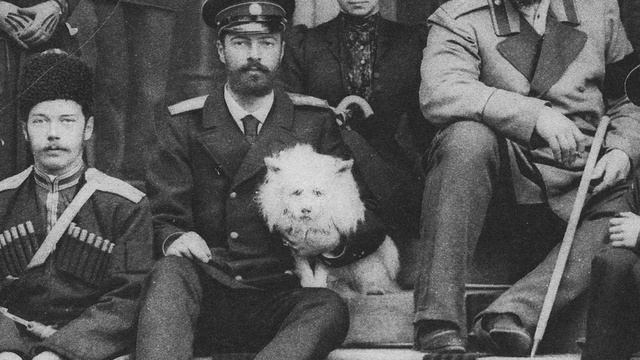 Собаки живут свою замечательную жизнь в Мраморном дворце