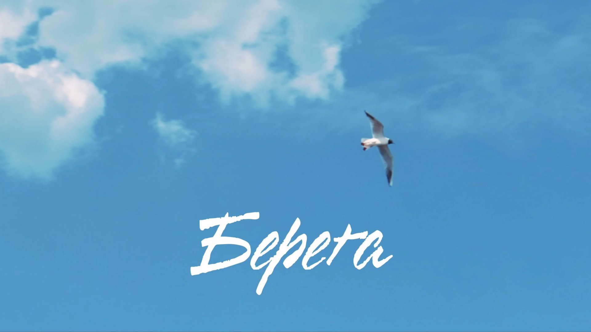 Адель Star и Нейросеть Group - Берега
