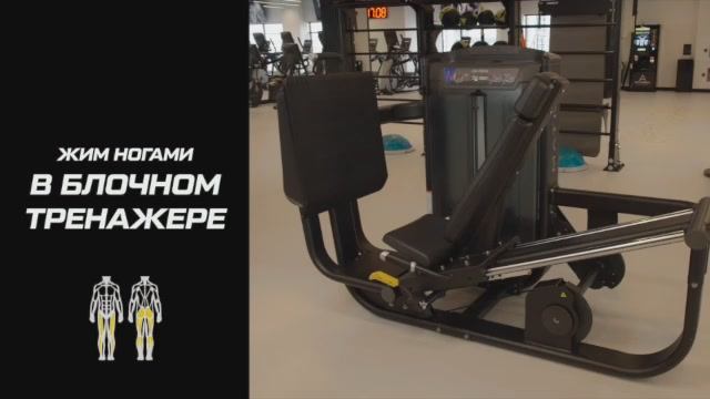 Блочный тренажёр для жима ногами: что это такое и как пользоваться оборудованием?