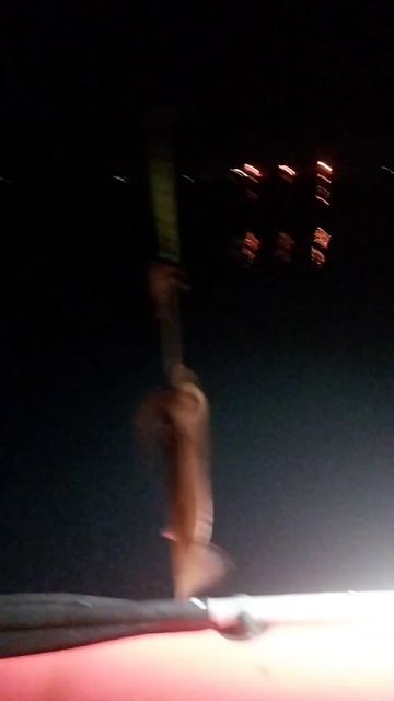 Кальмарные воблеры 100 мм 27 гр White Killer и Fortune от Mr.Musurok в деле 🦑