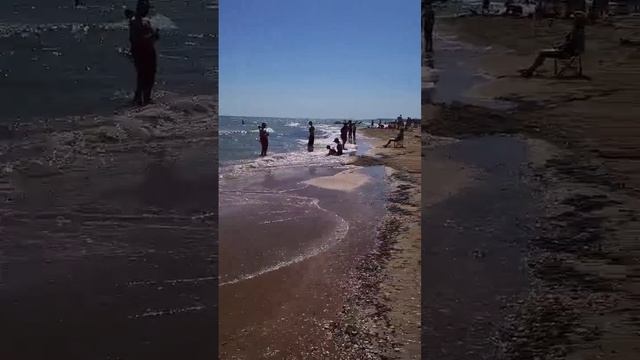 Кучугуры  4 июля 2025г