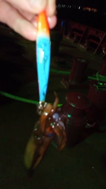 🎣 Отчет о рыбалке