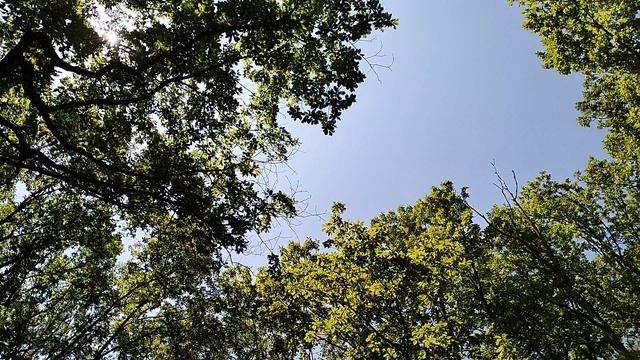 НЕБЕСНАЯ БЛАГОДАТЬ🌞