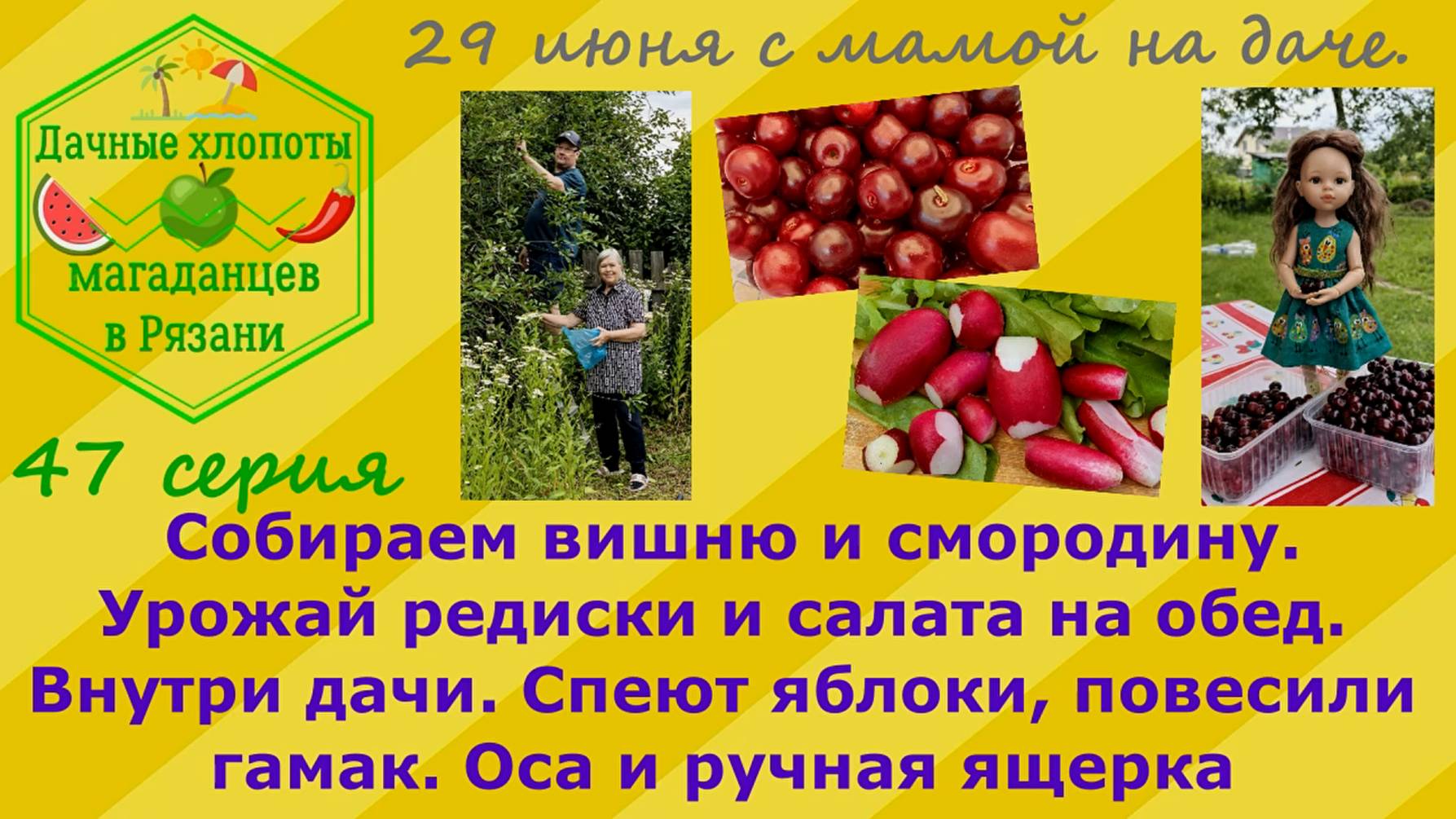 С мамой на даче 29 июня.Собираем вишню,смородину,урожай редиски и салата.Оса,ящерка.Внутри дачи. 47