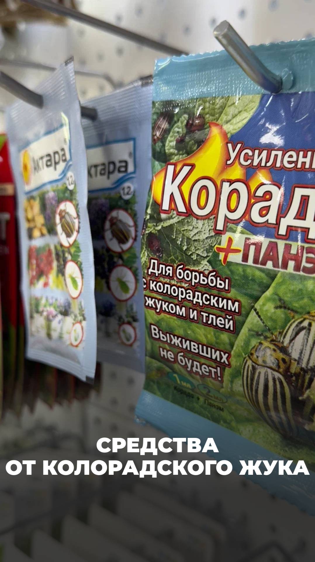 Средства от колорадского жука — надёжная защита вашего урожая.