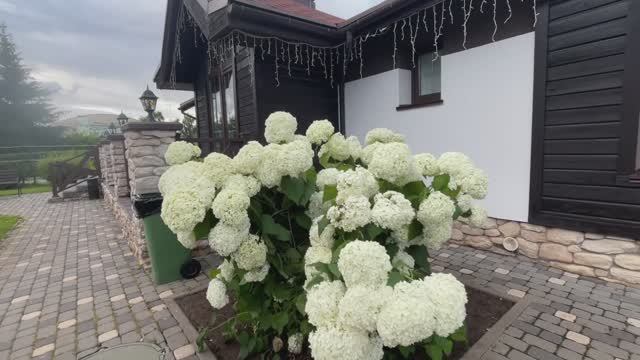 Тольятти. Alpen park 5* . Вечерняя прогулка по территории