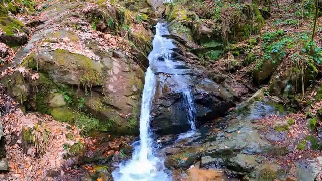 Музыка, согревающая сердце и душу