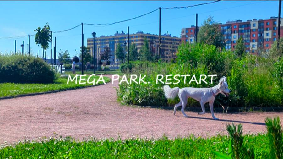 Mega Park 2025. Restart  #природа #morzeframe #megapark #лето #2025 #park
