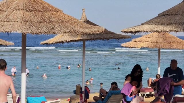 Египет 23 05-01 06 2025 г