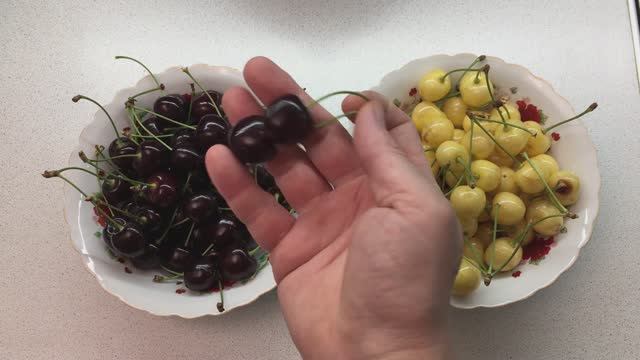 Черешня. Красная или желтая?