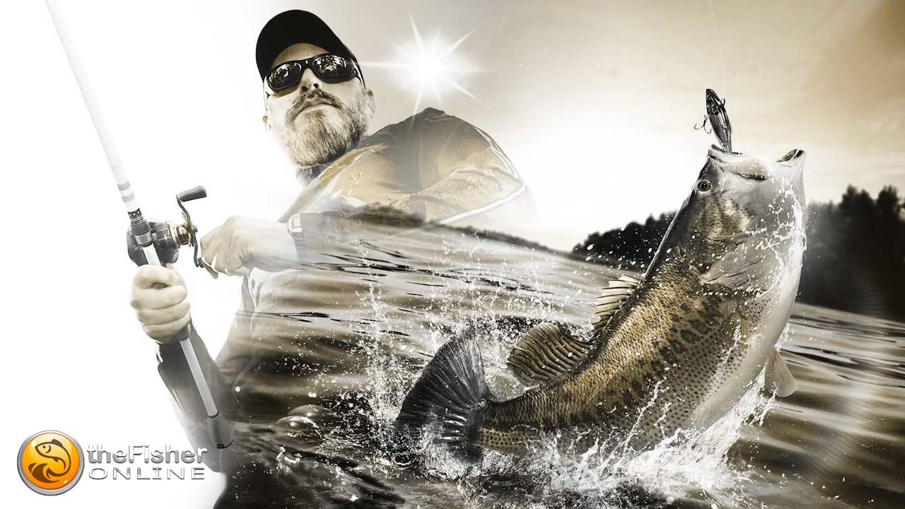 Рыбалка на крупную рыбу | Fisher Online 🦈